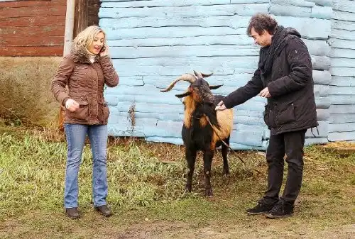 Prima Love TV program dnes a až 7 dní dopředu - TVtelo.cz