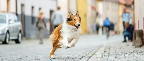 JOJ Cinema TV program dnes a až 7 dní dopředu - TVtelo.cz